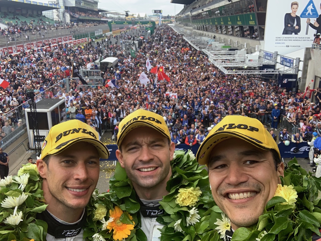 La chronique de François Perrodo : "La 'chattologie', ça marche ...